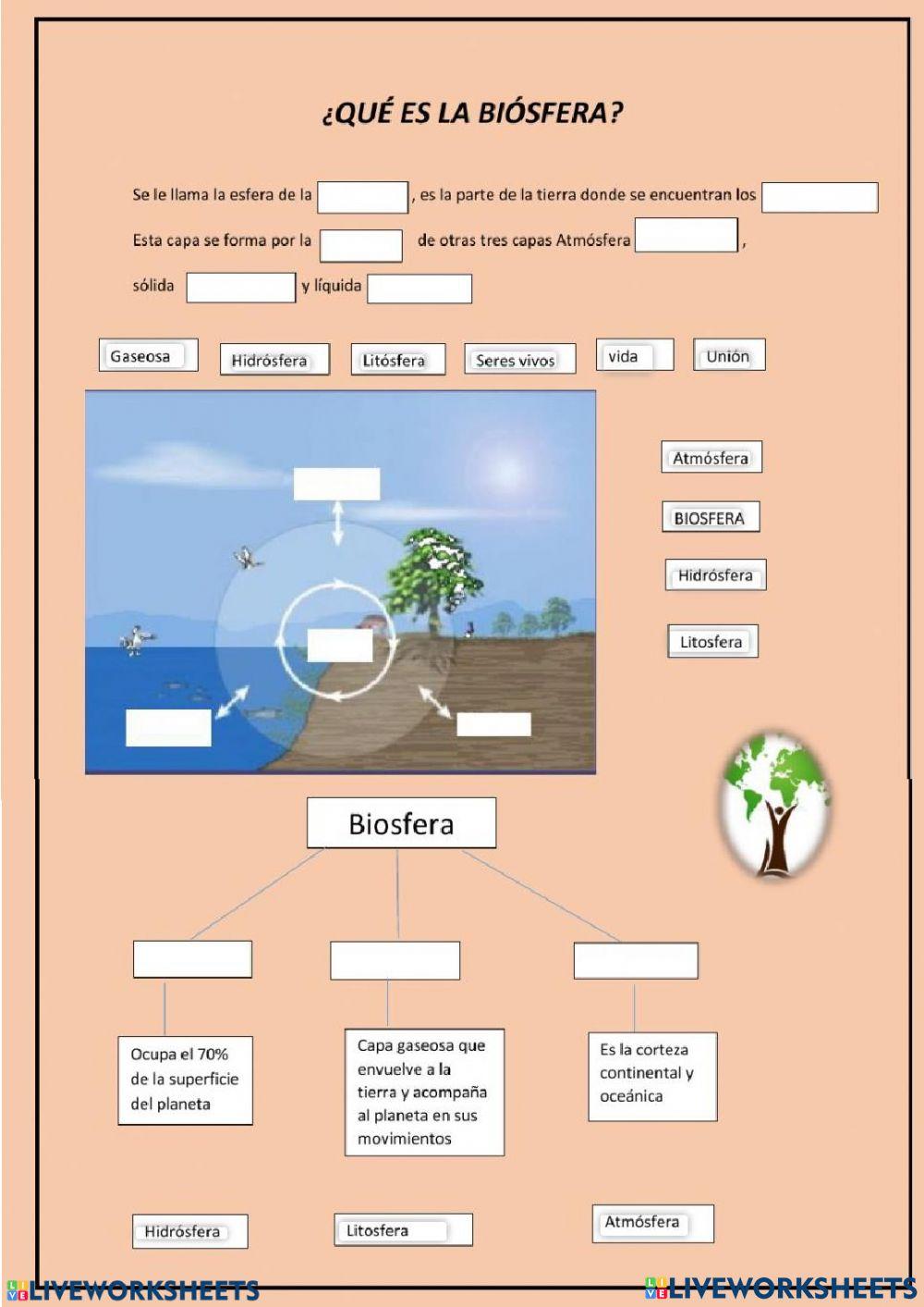 BIÓSFERA 2349418 | susan Dutra | LiveWorksheets