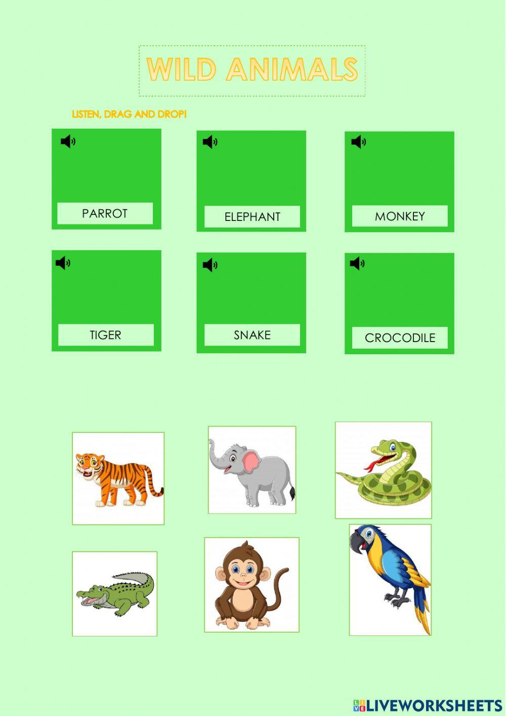 Wild Animals online exercise for grde | Live Worksheets