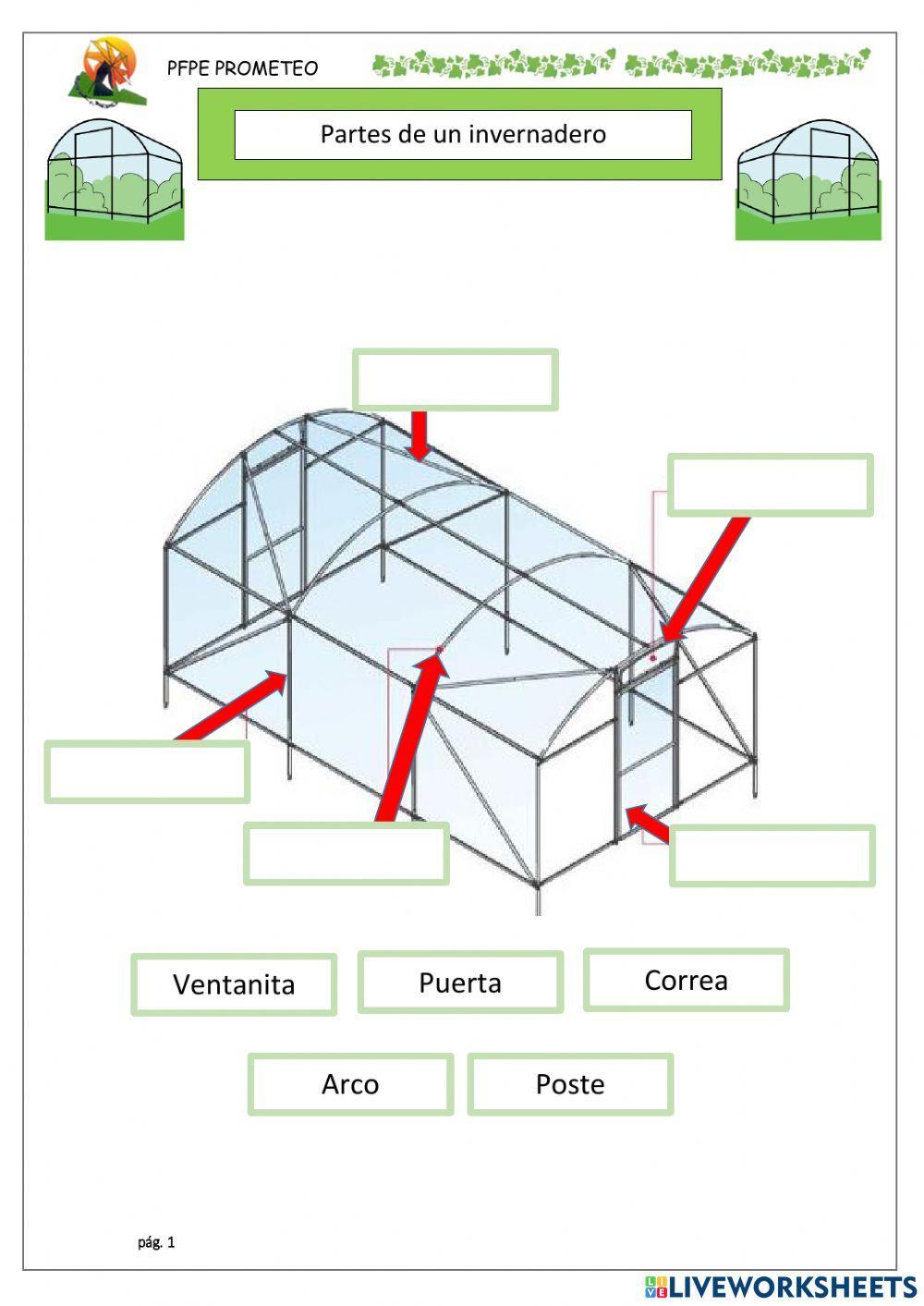Partes De La Estructura Del Invernadero El Paso A Paso Para Construir