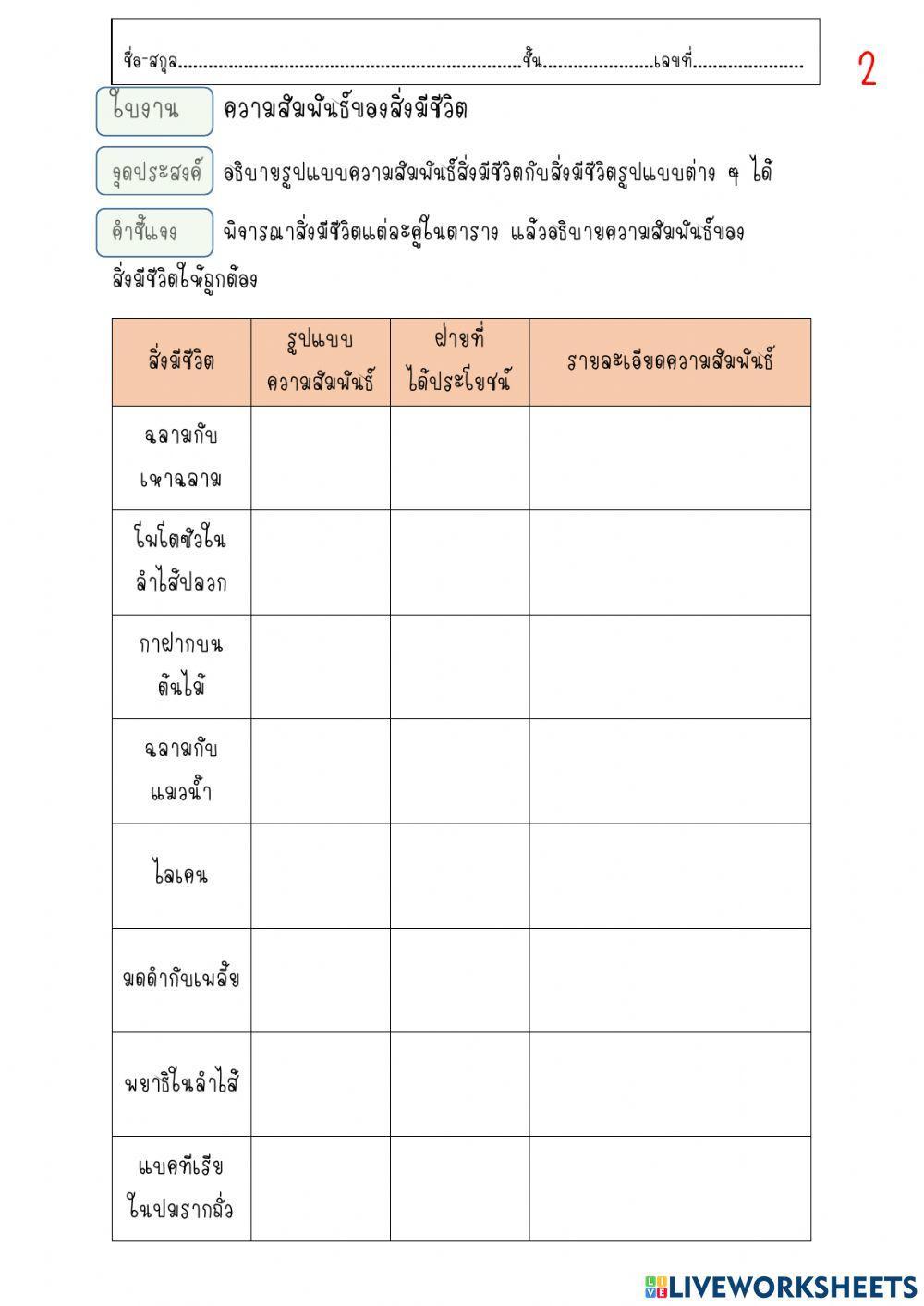 2. ใบงาน ความสั… | Free Interactive Worksheets | 2024244