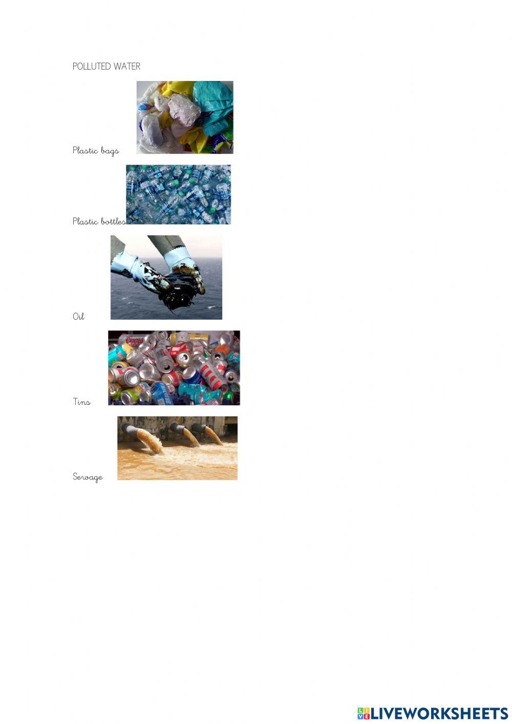 Polluted water interactive worksheet | Live Worksheets