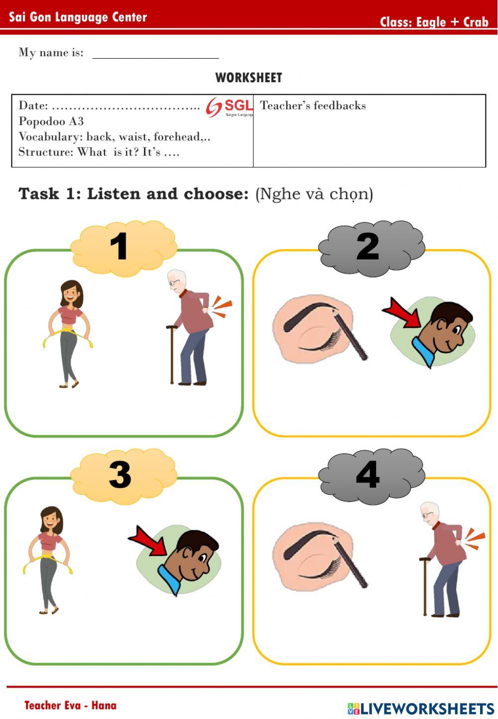 PPD A3 - Waist, back, neck, eyebrow worksheet | Live Worksheets