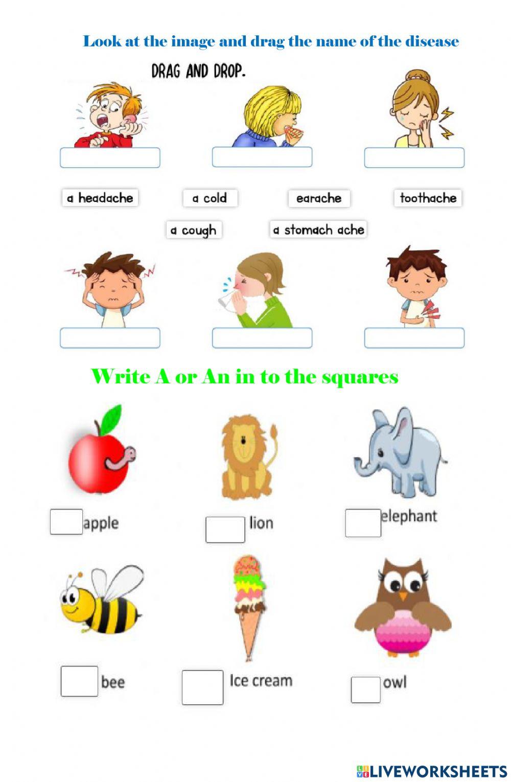3rd Grade Quiz activity | Live Worksheets