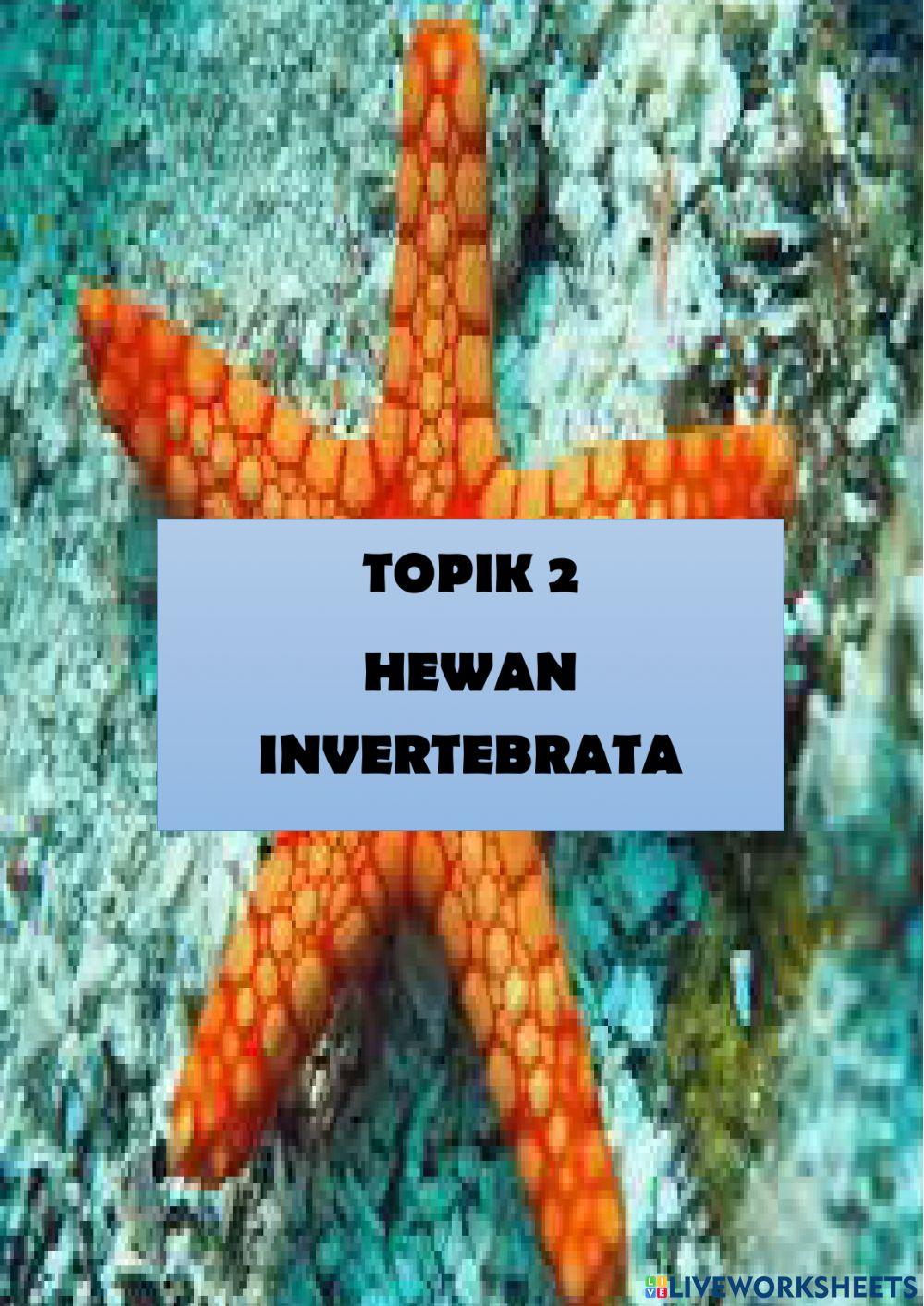 Lanjutan topik 1 (hewan invertebrata) tentang porifera worksheet | Live ...