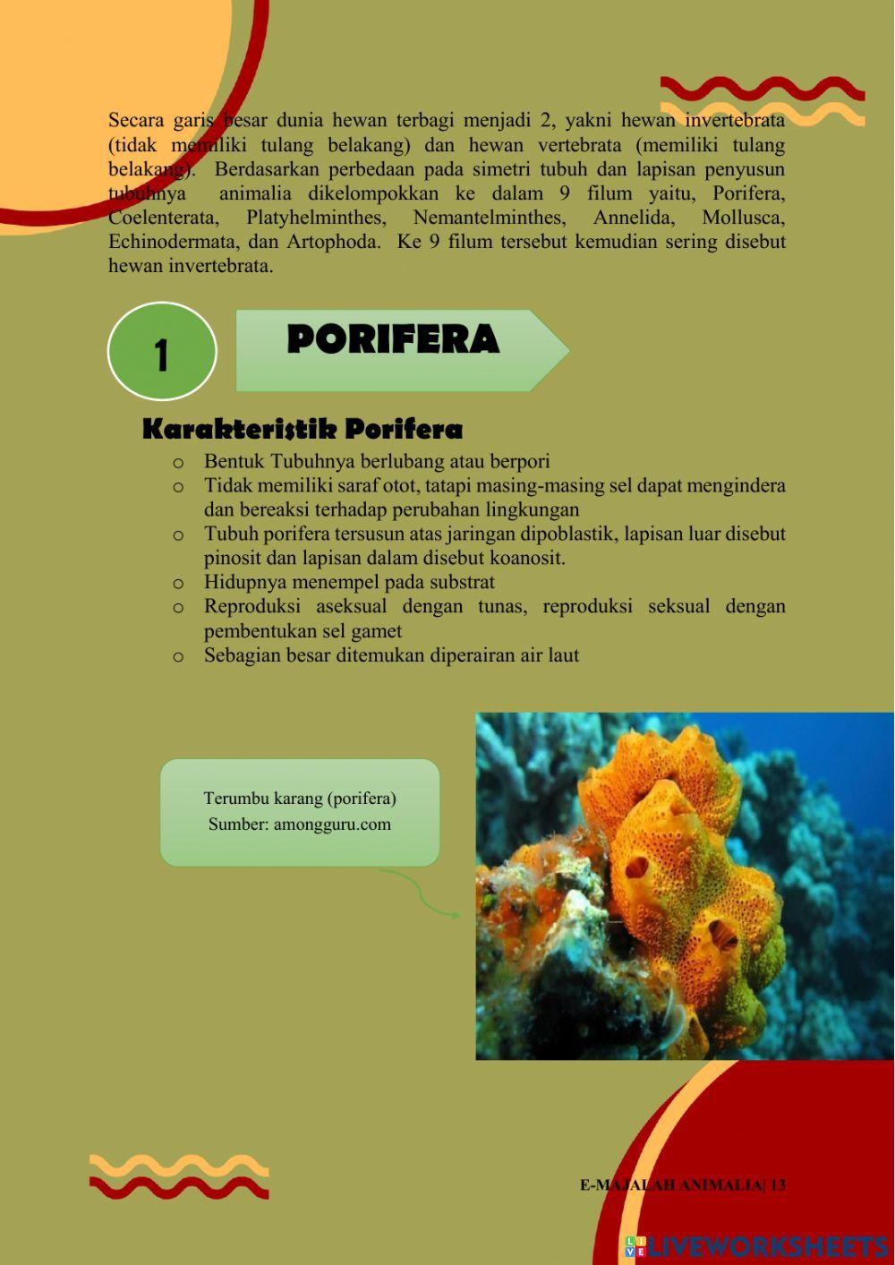 Lanjutan topik 1 (hewan invertebrata) tentang porifera worksheet | Live ...