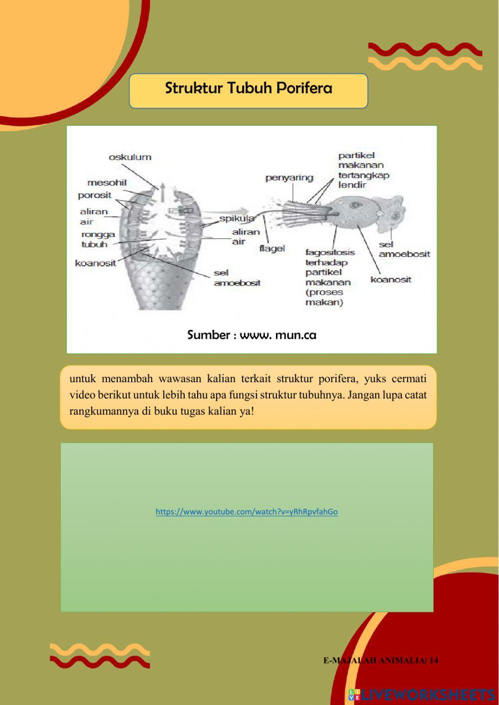 Lanjutan topik 1 (hewan invertebrata) tentang porifera worksheet | Live ...