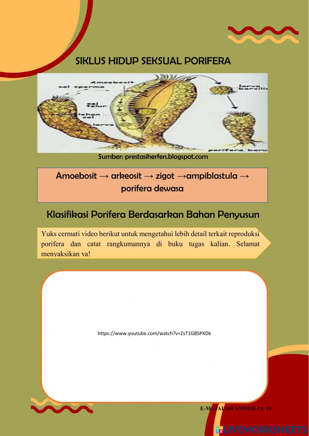 Lanjutan topik 1 (hewan invertebrata) tentang porifera worksheet | Live ...