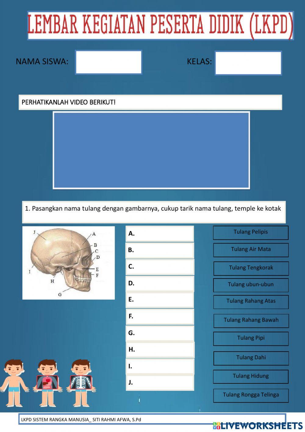 Lkpd Sistem Rangka Manusia Interactive Worksheet Live Worksheets ... Lkpd Sistem Rangka Manusia Interactive Worksheet Live Worksheets ...