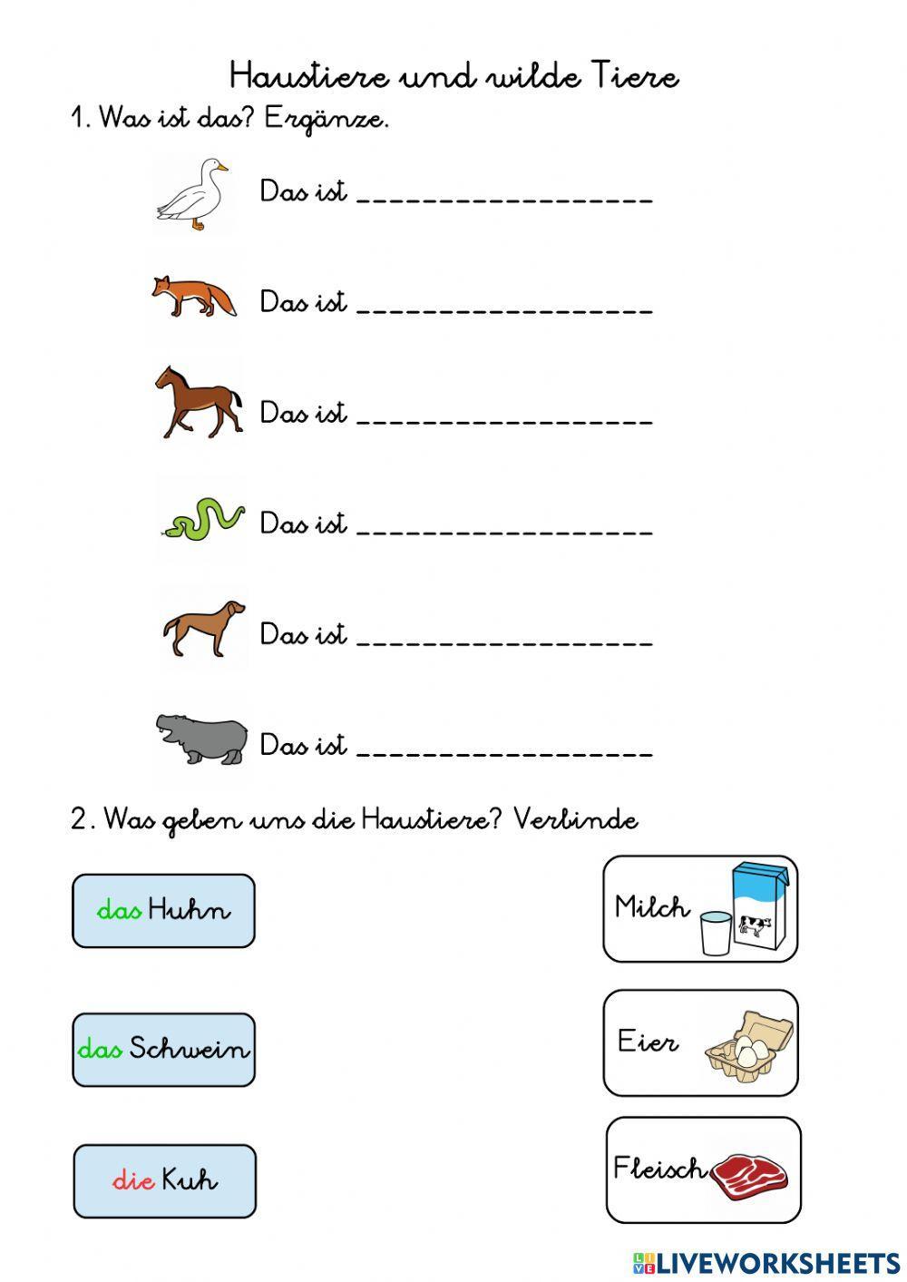 Haustiere und w… | Free Interactive Worksheets | 2058224