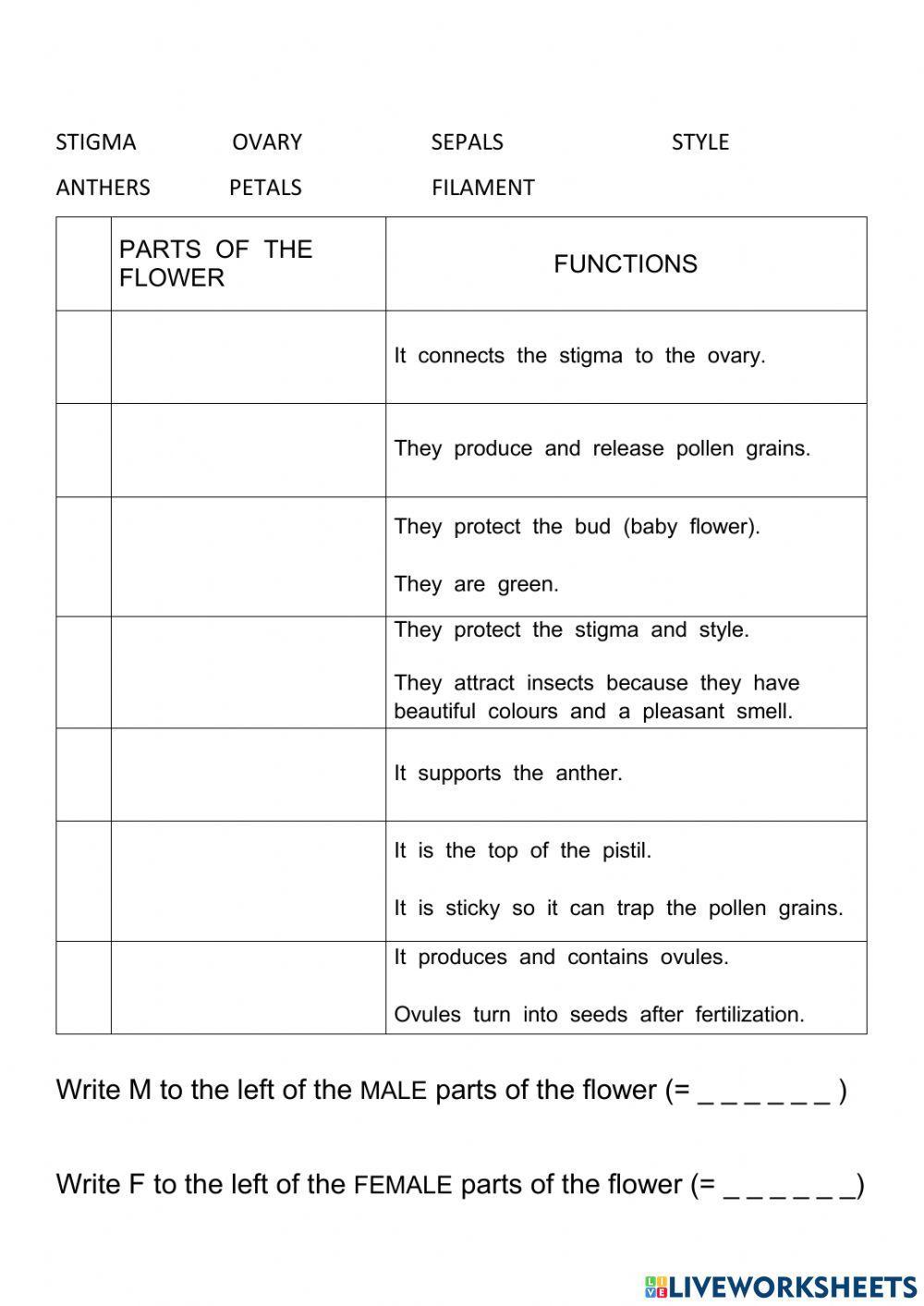 Parts Of The Flower And Their Functions Worksheet Live Worksheets parts-of-the-flower-and-their-functions-worksheet-live-worksheets