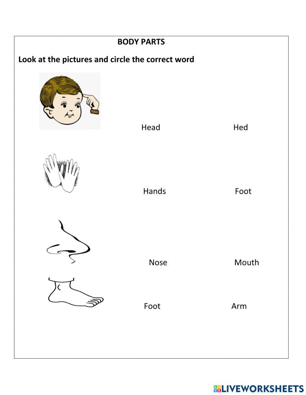 Body Parts online exercise for 1 | Live Worksheets