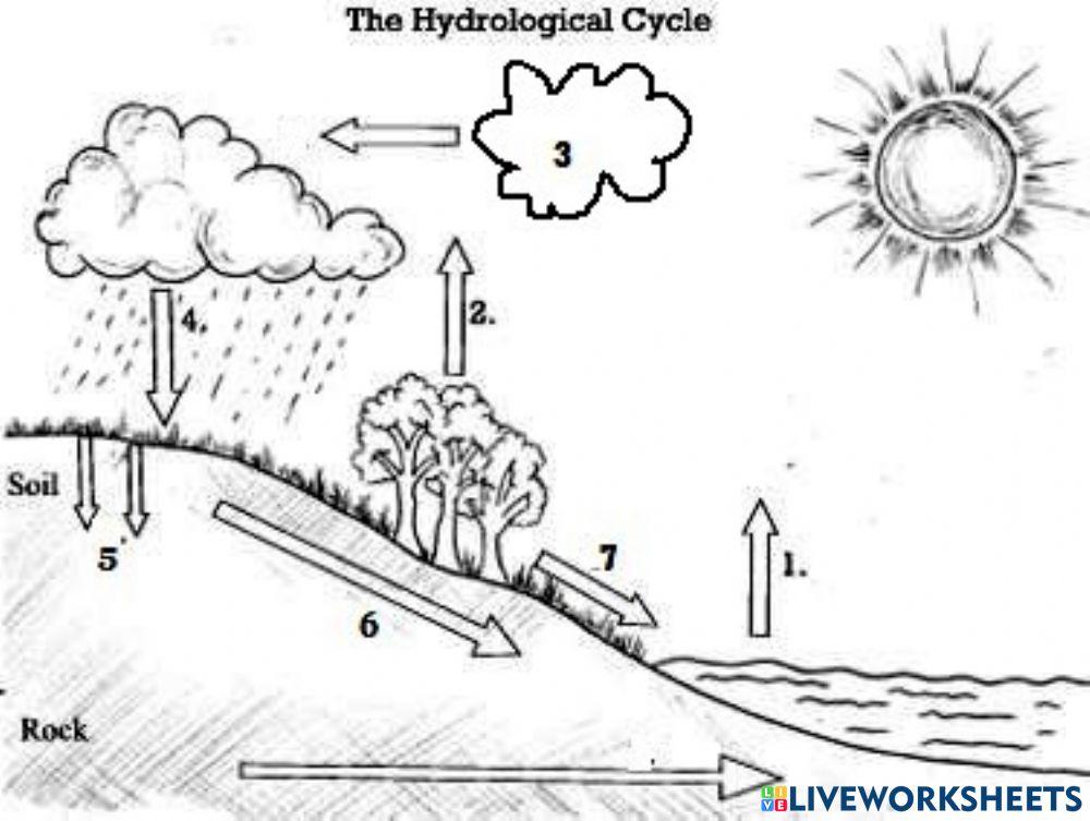Siklus air activity for 5 | Live Worksheets