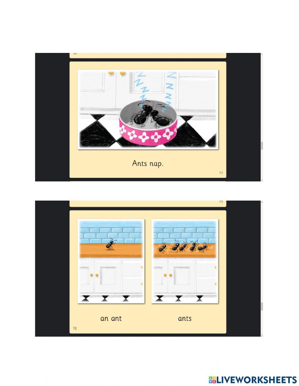 Ants 1 online exercise for | Live Worksheets