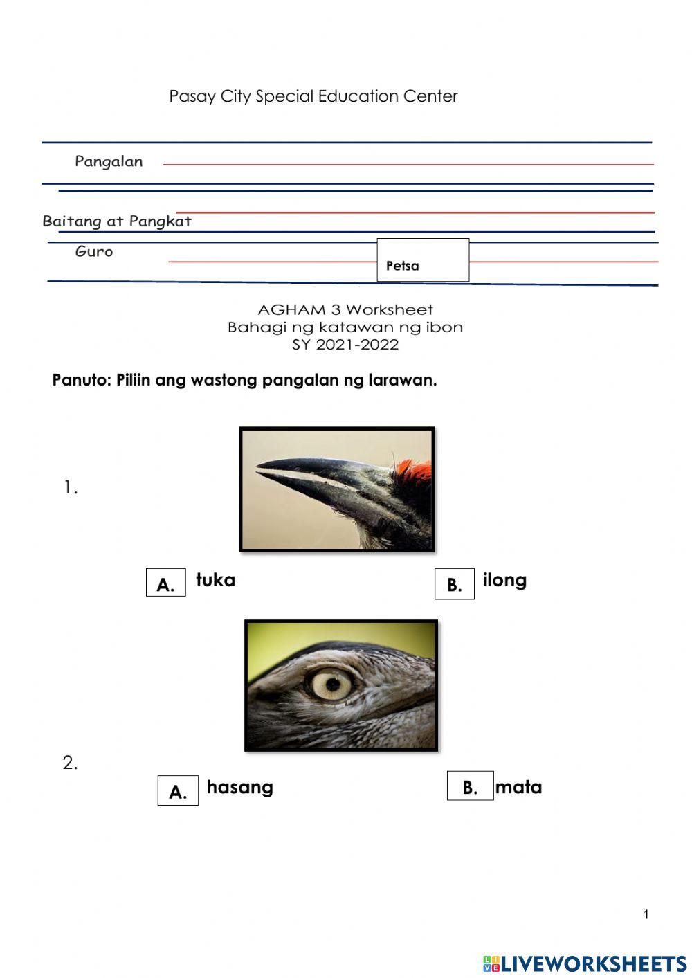 Subukin Natin-AGHAM3-Bahagi ng Katawan ng Ibon-Worksheet 1 online ...
