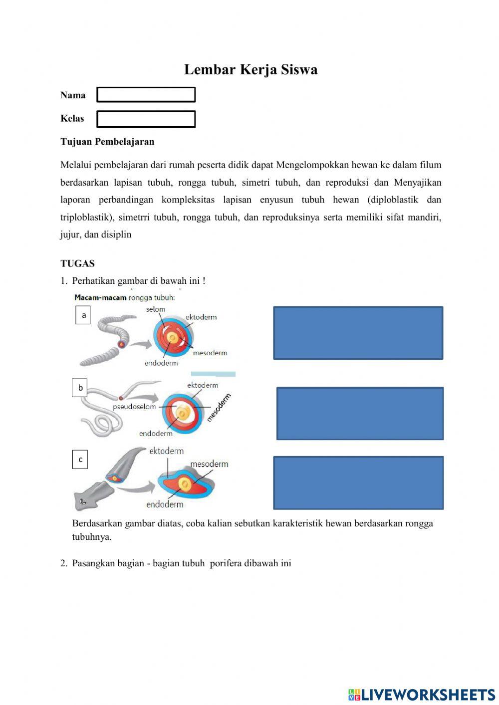 Reproduksi porifera worksheet | Live Worksheets