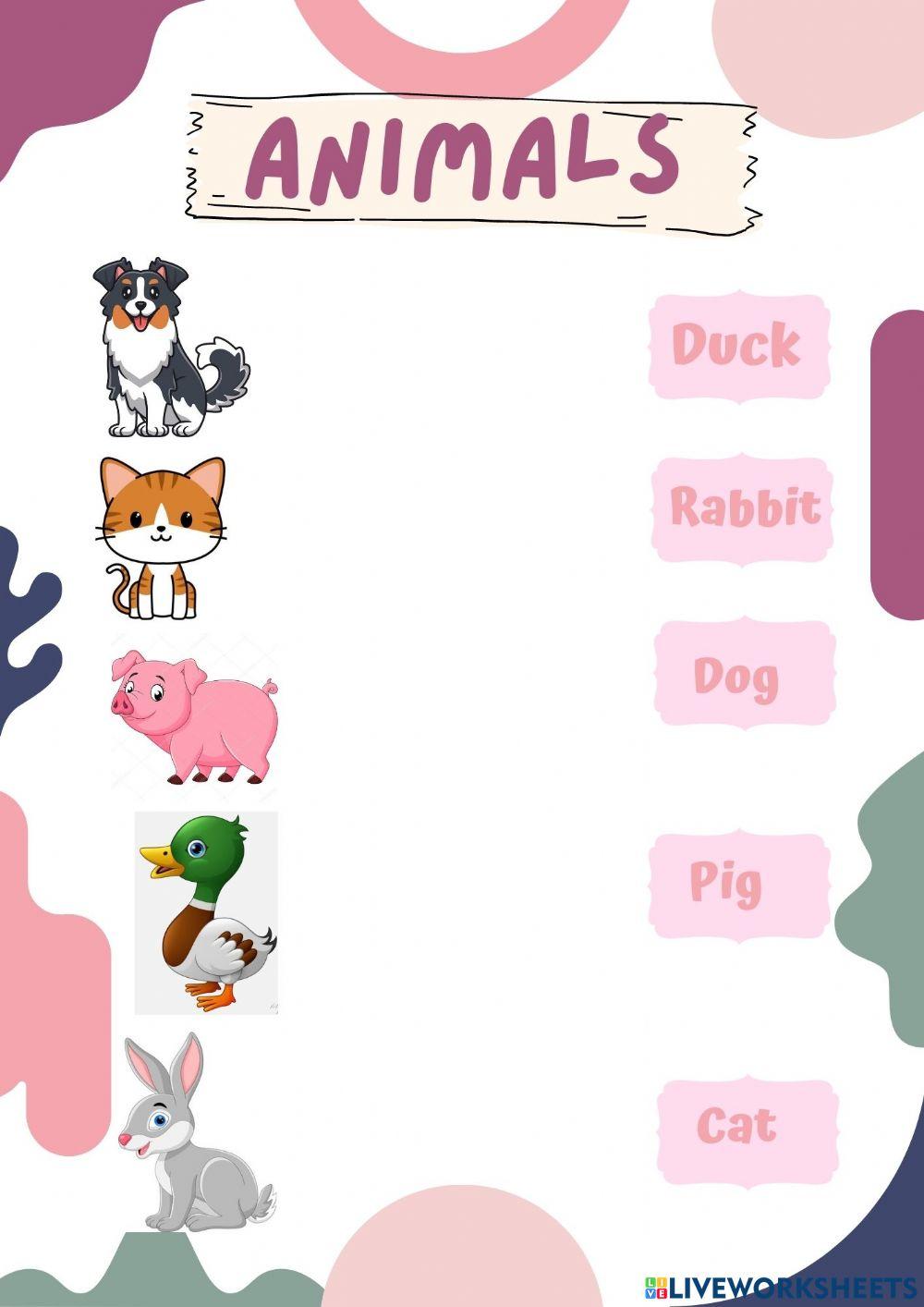 Animals online exercise for Grade 2 | Live Worksheets
