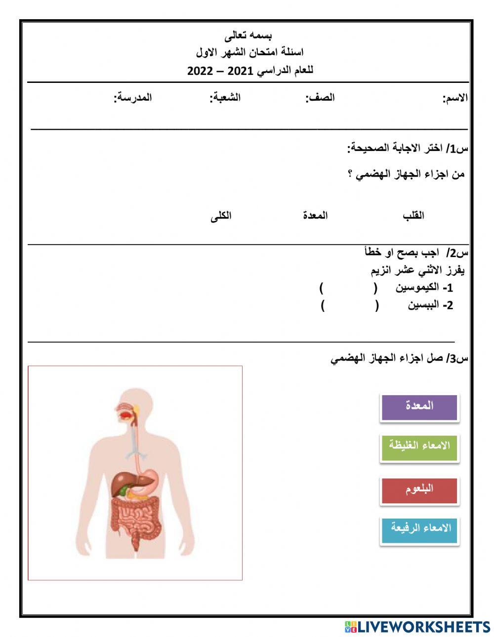 IHAB online exercise for | Live Worksheets
