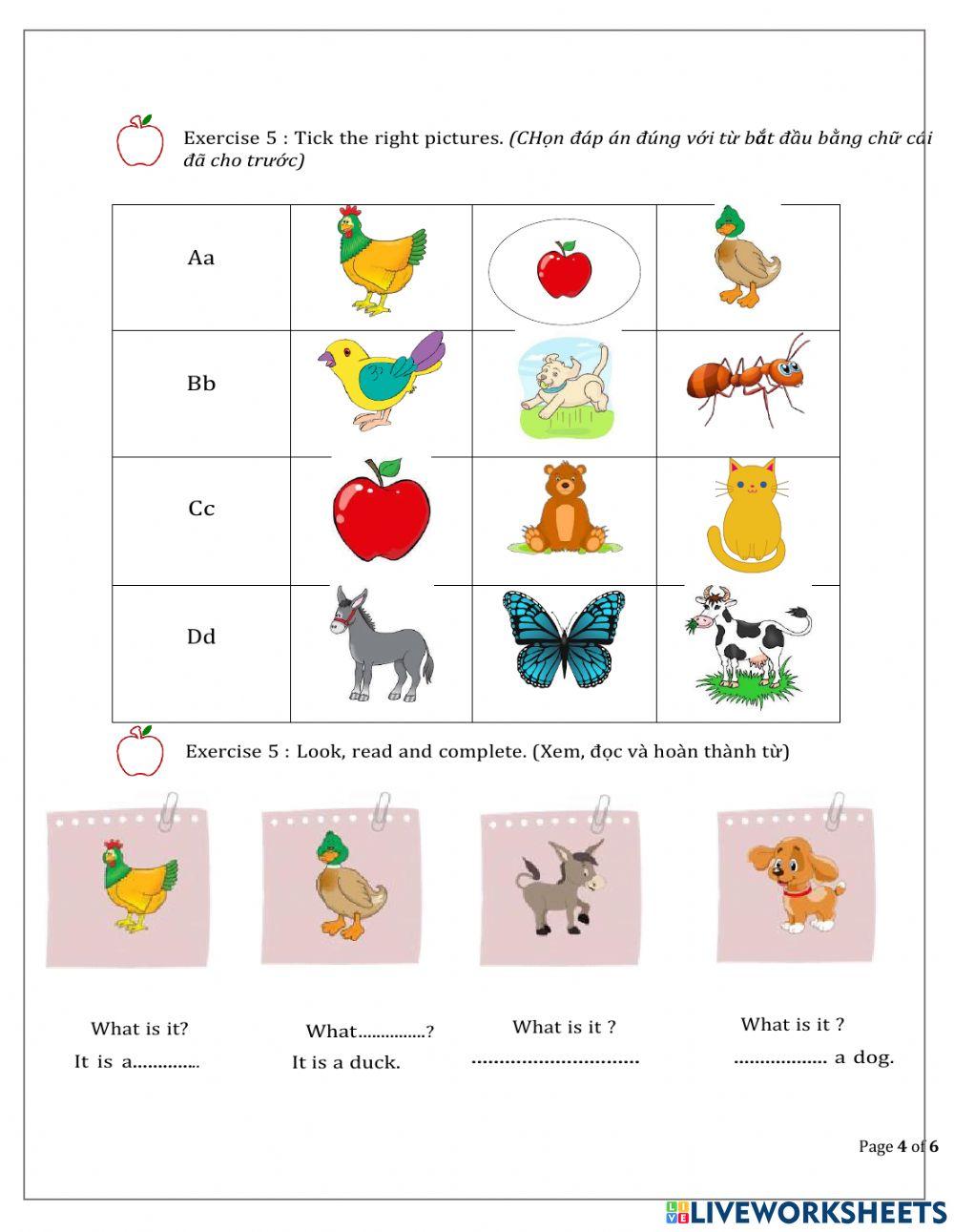 The letter d exercise | Live Worksheets