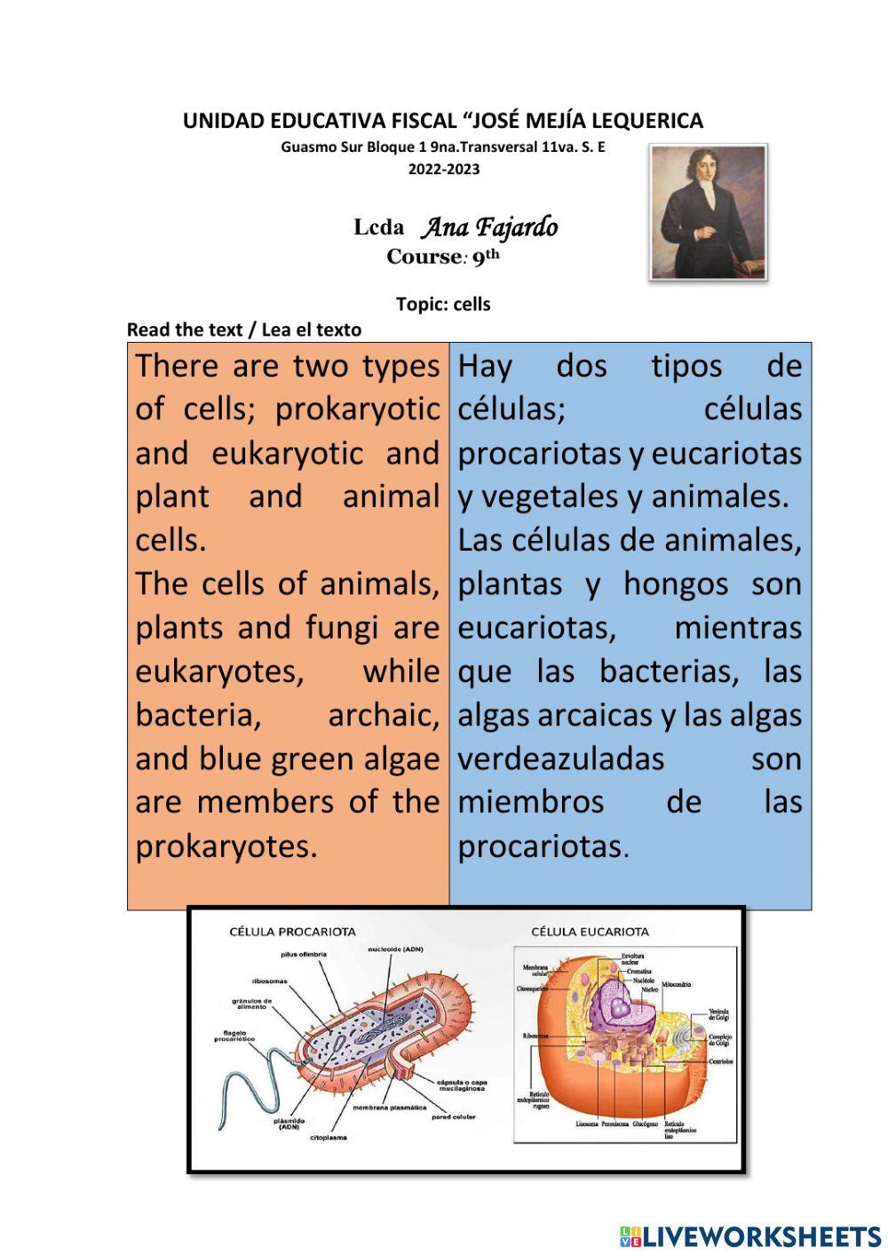 Cells | Free Interactive Worksheets | 2071463
