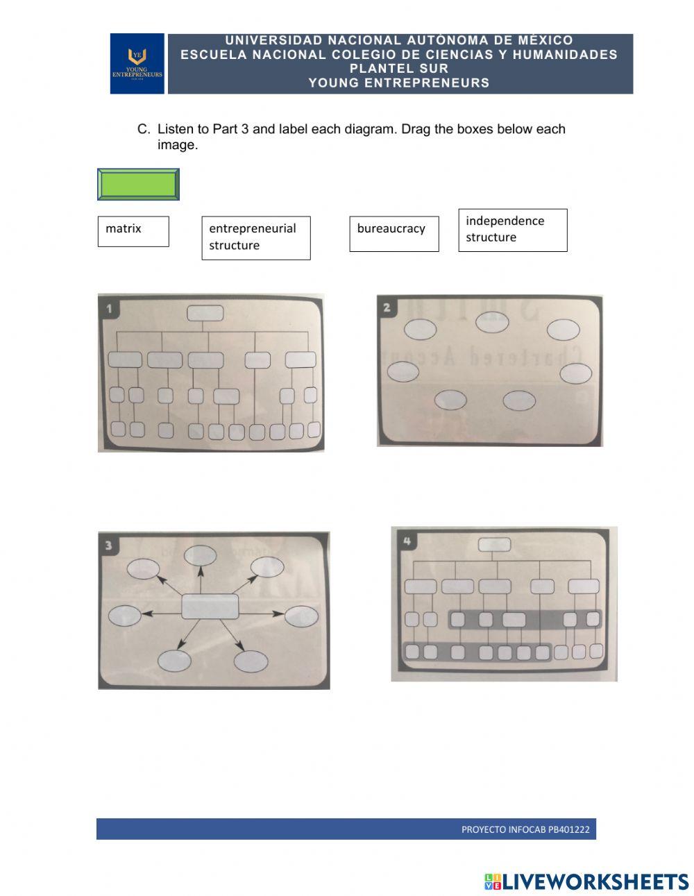 6B Organizing online exercise for | Live Worksheets