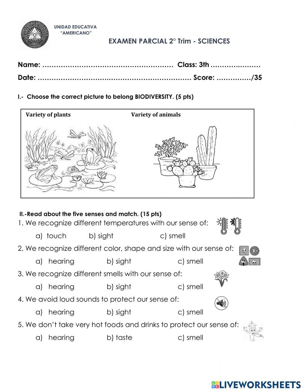 Examen de science interactive worksheet | Live Worksheets