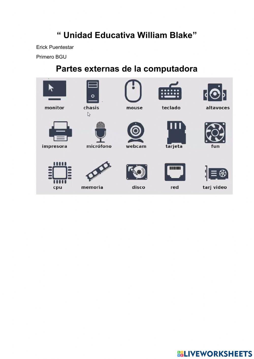 Las partes externas del computador worksheet | Live Worksheets