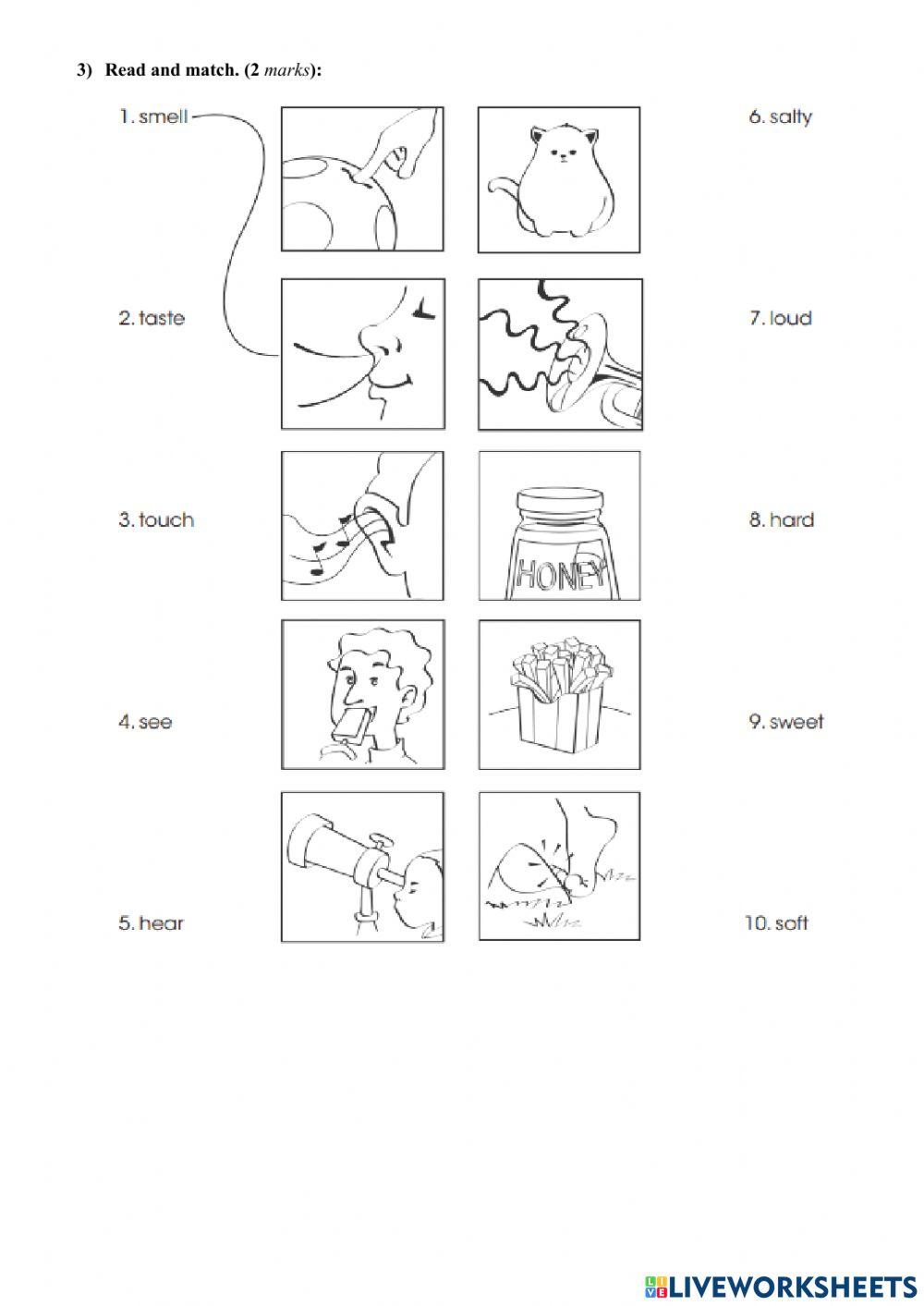 5343031 | Unit 6 -4th A | Cinthia Isabel