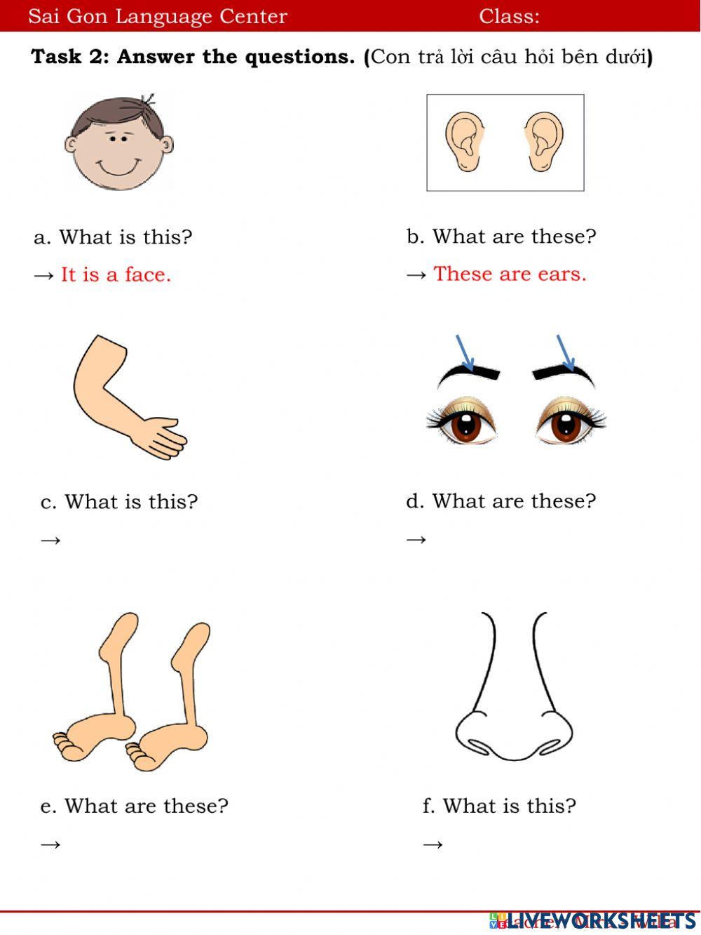 This is my nose! 2073640 | Willa10 | Live Worksheets