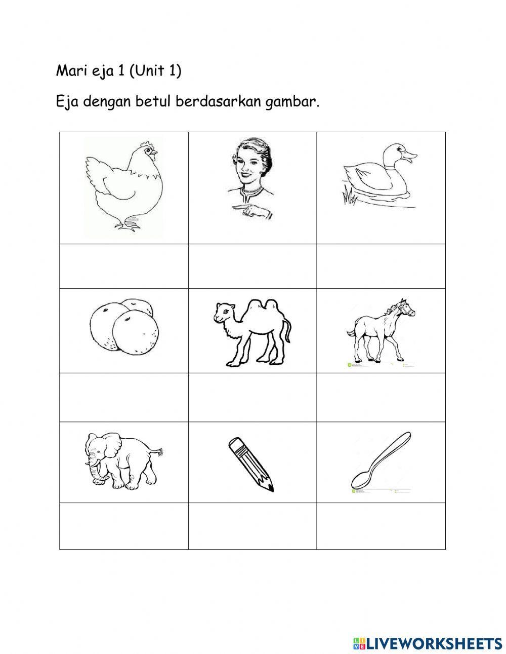Tahun 1 Ejaan 1 worksheet | Live Worksheets
