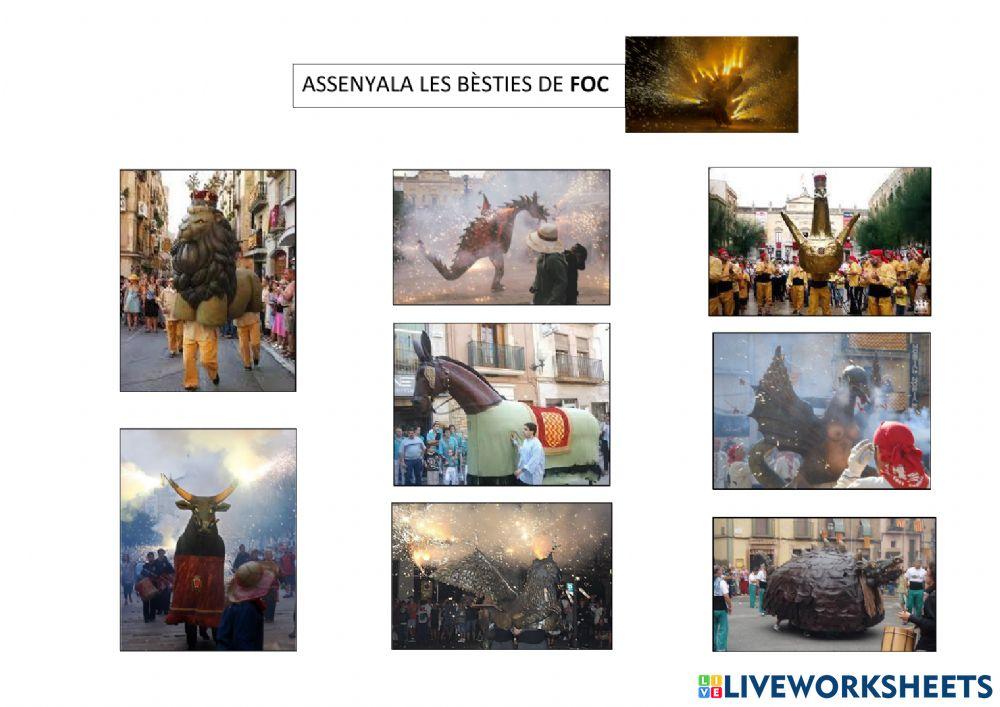 Bèsties de foc … | Free Interactive Worksheets | 2077828