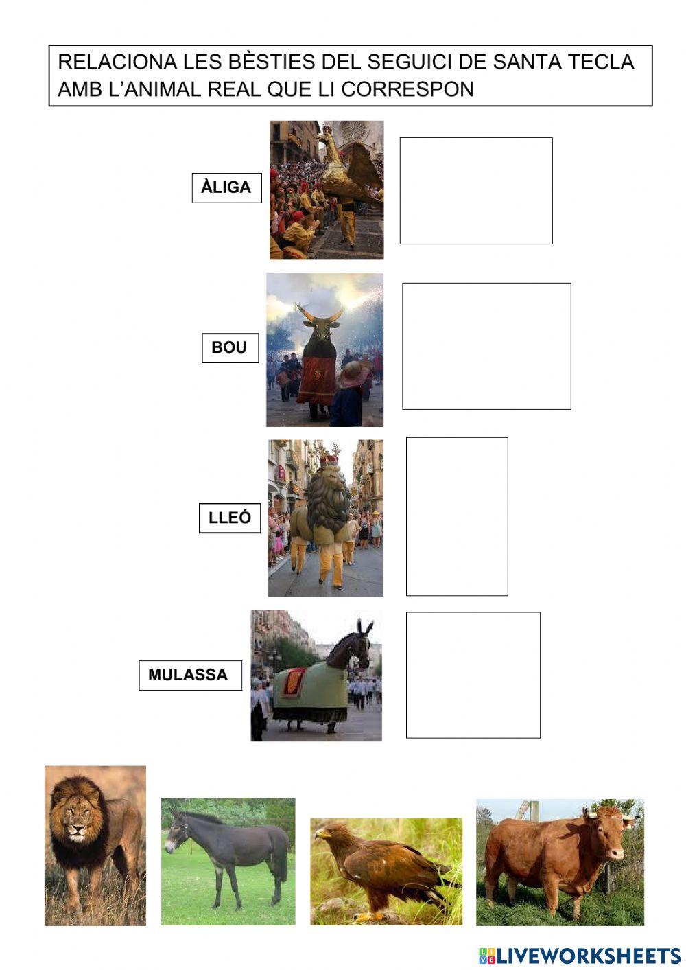 Bèsties santa tecla i animals reals worksheet | Live Worksheets