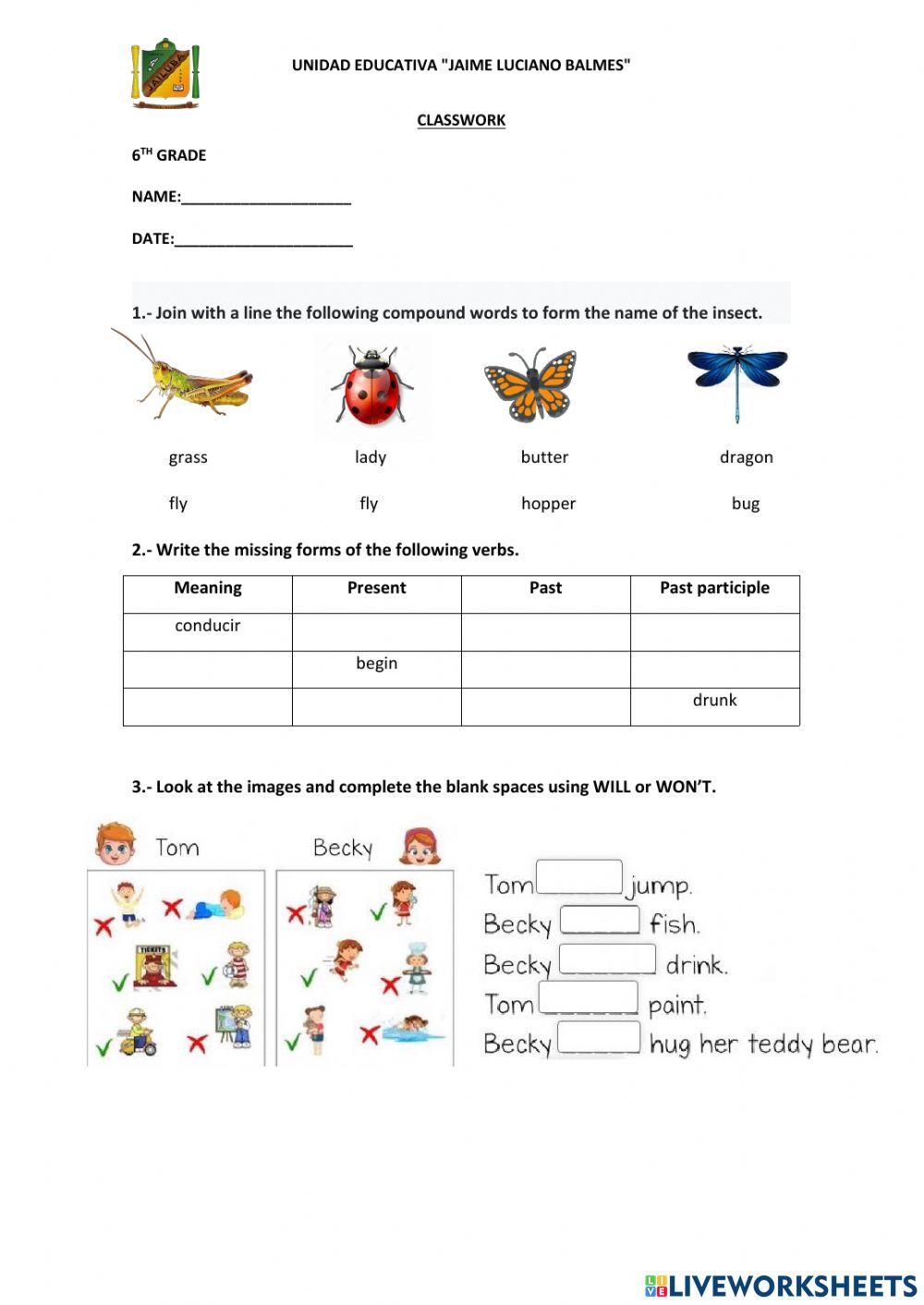 Final classwork | Free Interactive Worksheets | 2856972