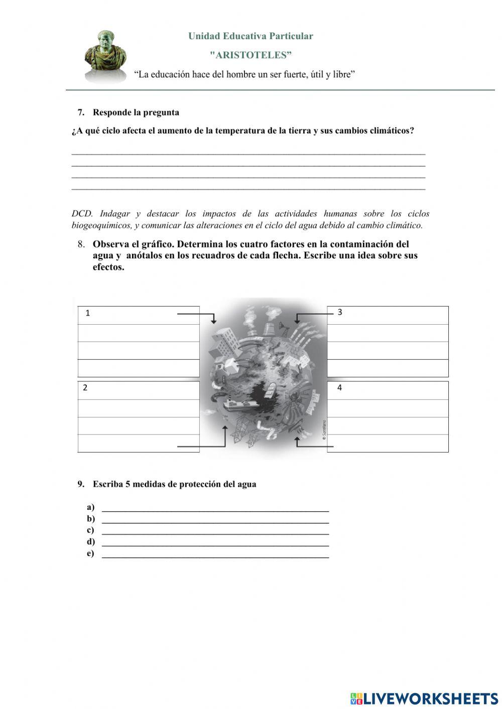 Octavo | Free Interactive Worksheets | 2078146