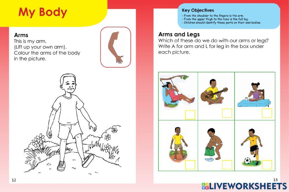 My Body online exercise for KG1 | Live Worksheets
