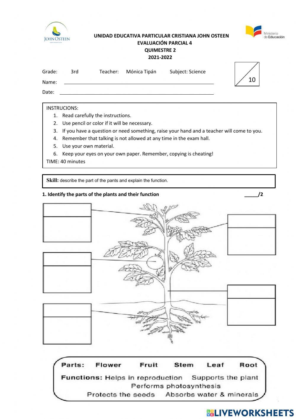Partial Evaluat… | Free Interactive Worksheets | 2078876