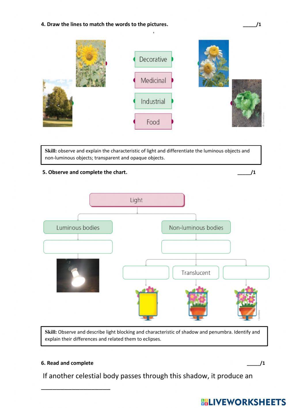 Partial Evaluat… | Free Interactive Worksheets | 2078876