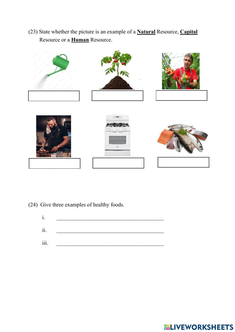 Std2 S. Studies Term III Promo Test online exercise for | Live Worksheets