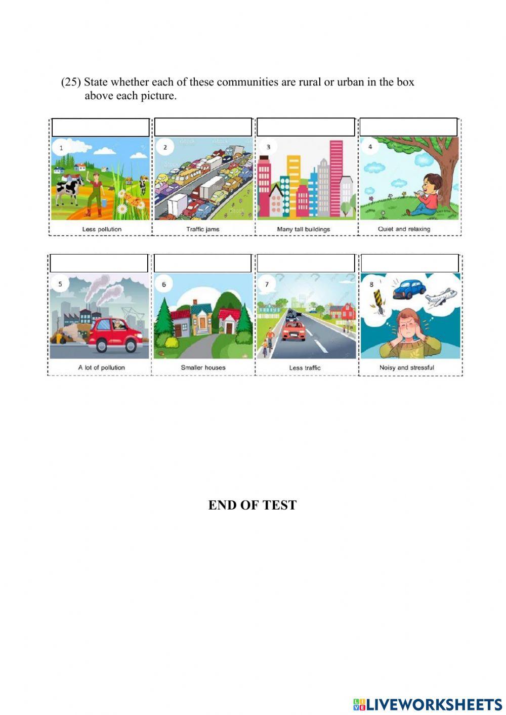 Std2 S. Studies Term III Promo Test online exercise for | Live Worksheets