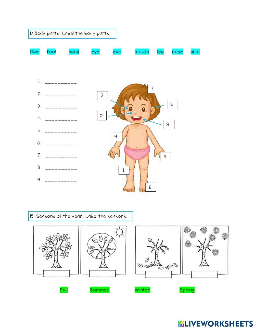 Starters 1 Fina… | Free Interactive Worksheets | 7157121