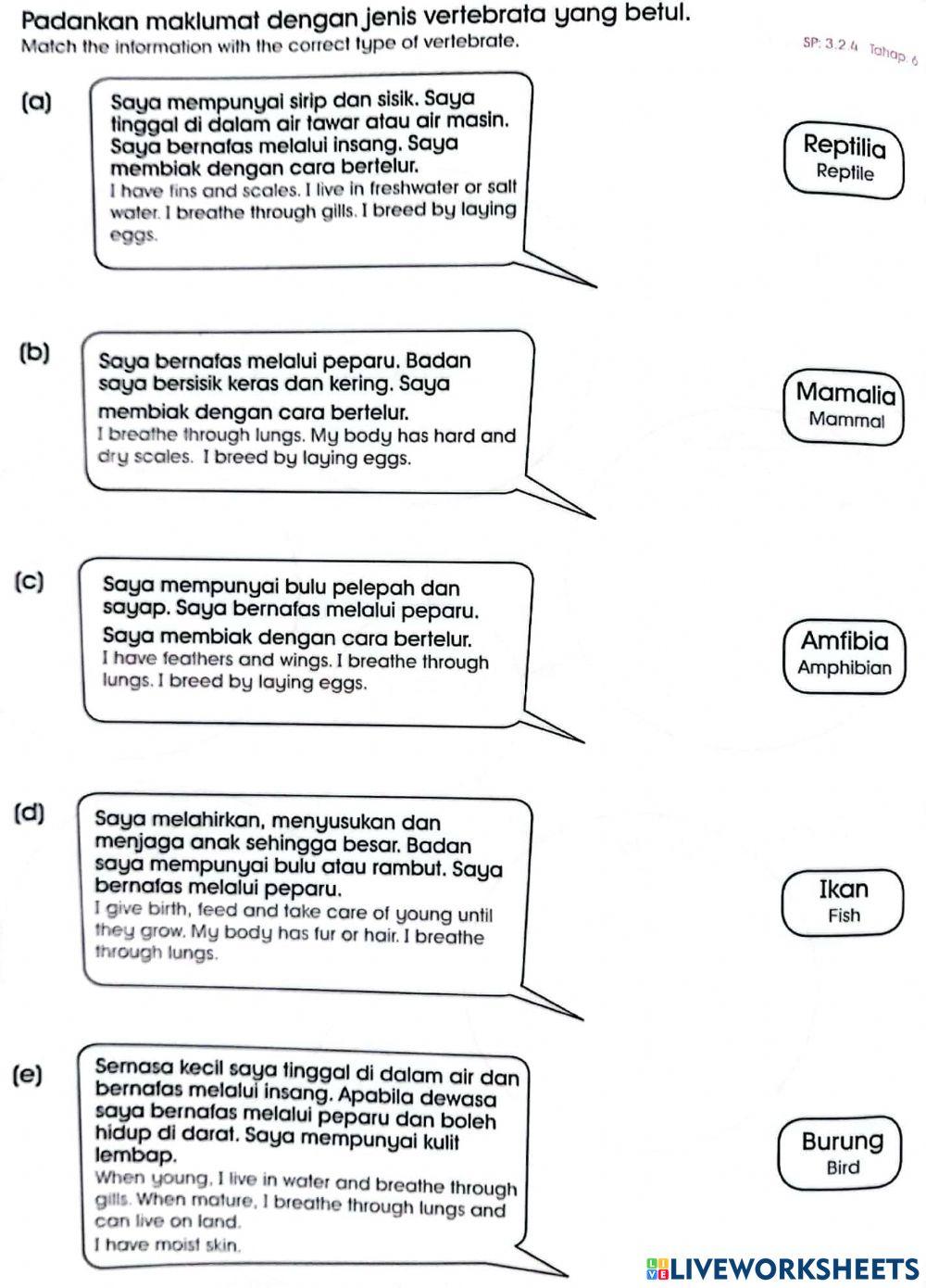 SCIENCE YEAR 4: ANIMALS online exercise for | Live Worksheets