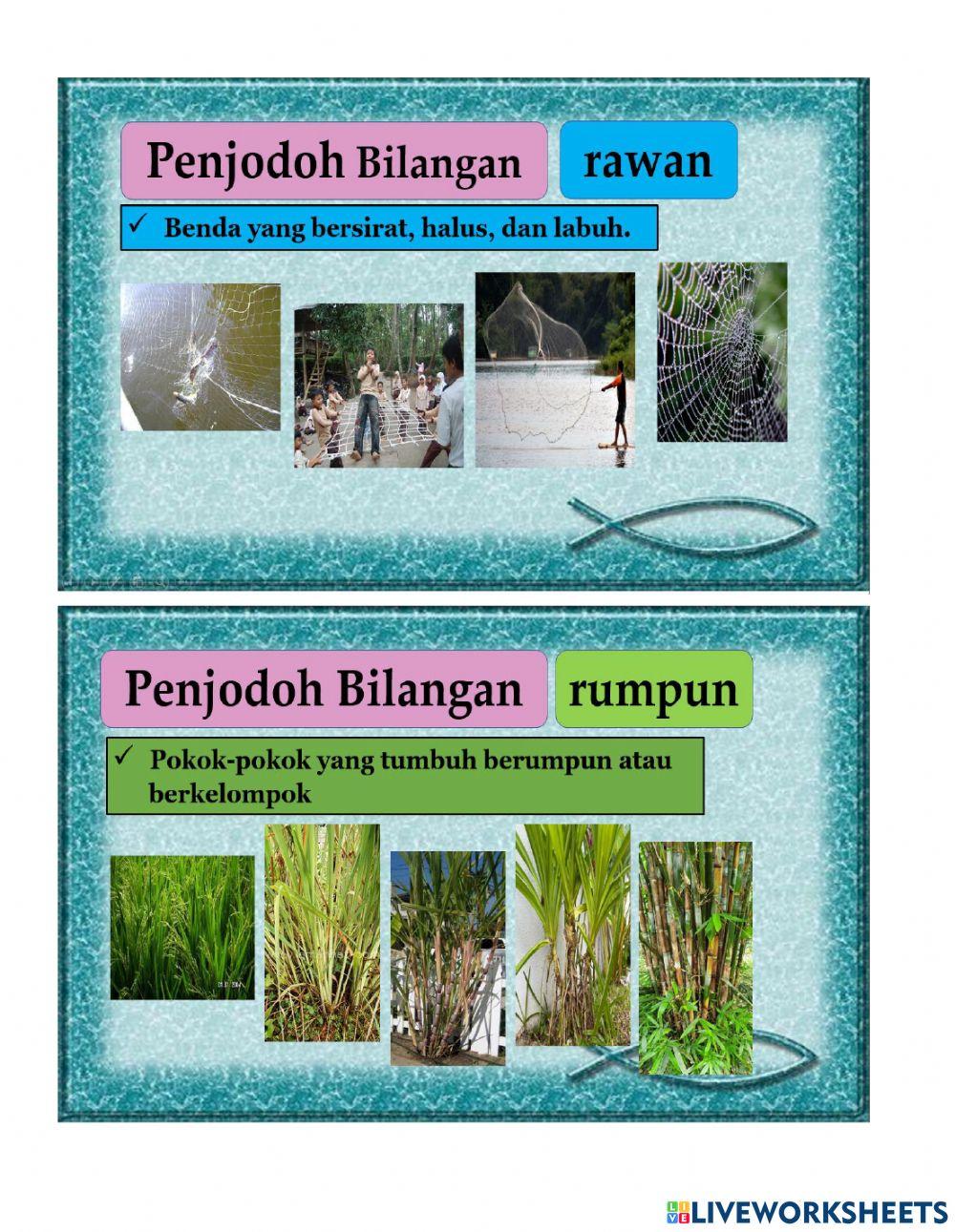 Penjodoh Bilangan Nota - Rawan, Jambak, Papan, Rumpun,