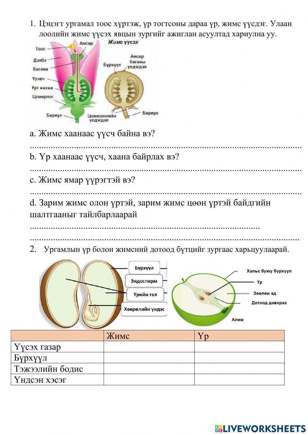 Plant reproduct… | Free Interactive Worksheets | 2082996