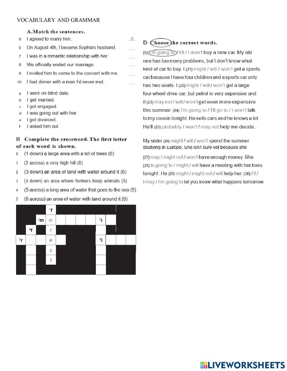 Pre-intermediate activity | Live Worksheets