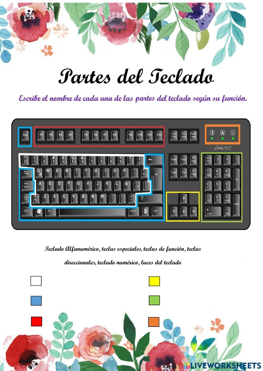Partes Del Teclado Free Online Activity Live Worksheets