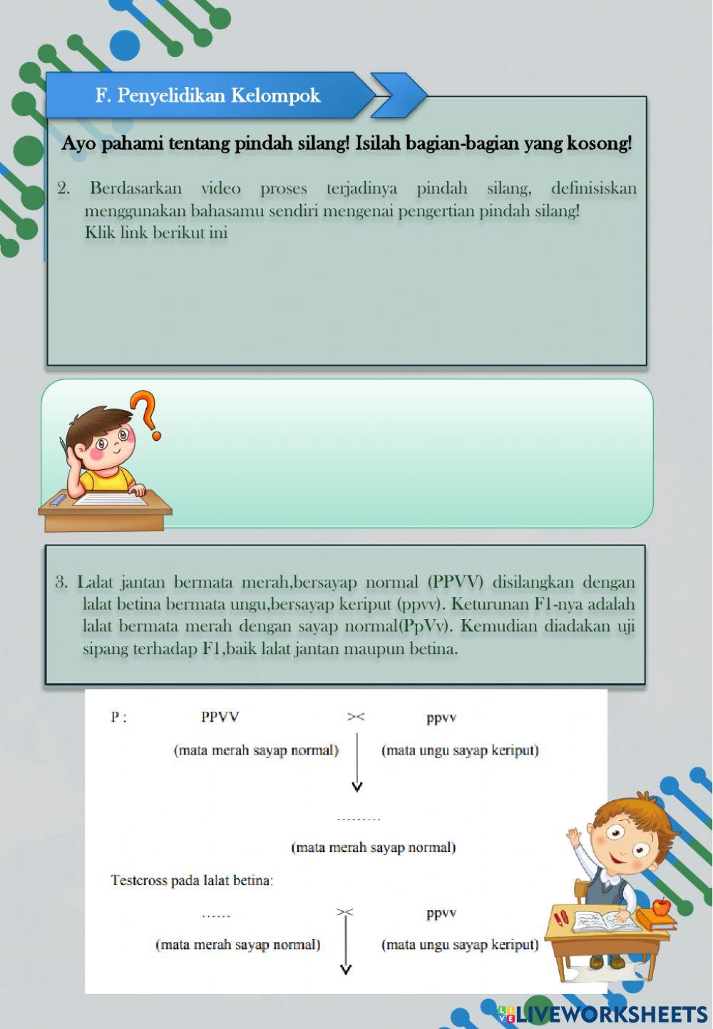 LKPD POLA-POLA HEREDITAS online exercise for | Live Worksheets