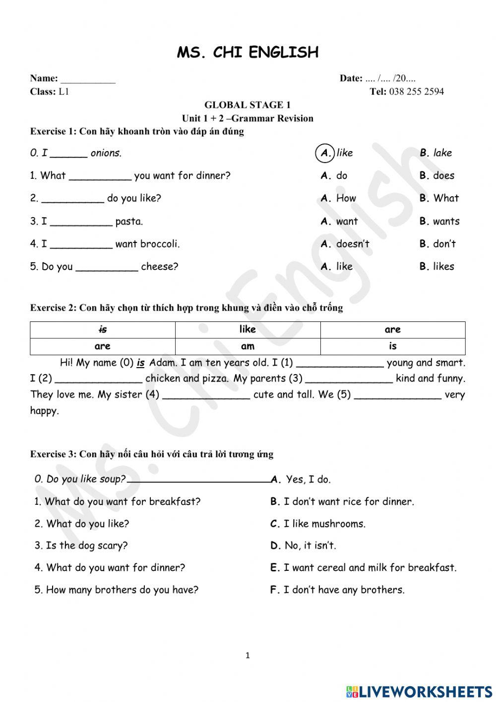 Viet-Teacher--L1-U12-GRAMMAR-REVISION worksheet | Live Worksheets