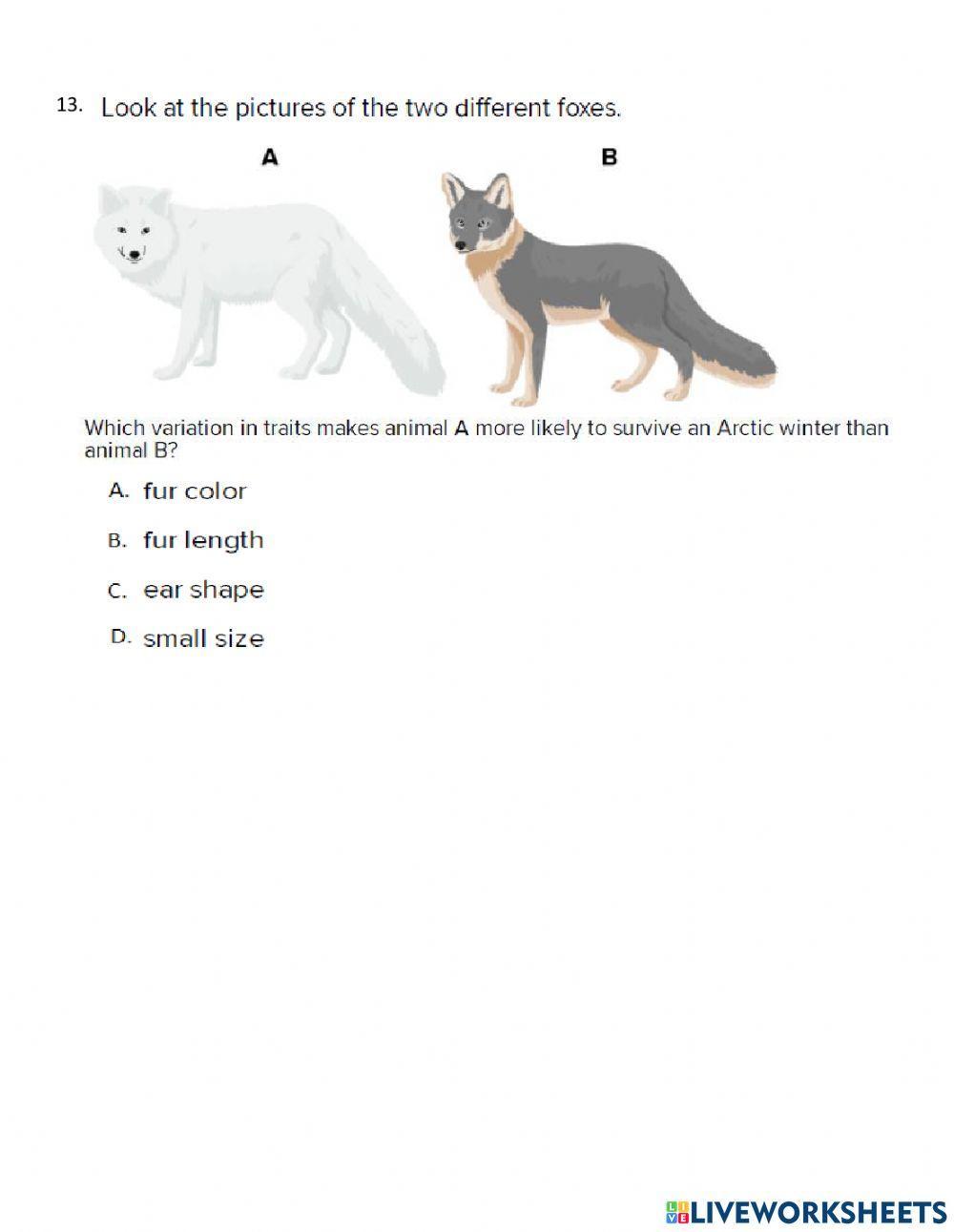 2061632 | Animal Traits | Arham | LiveWorksheets