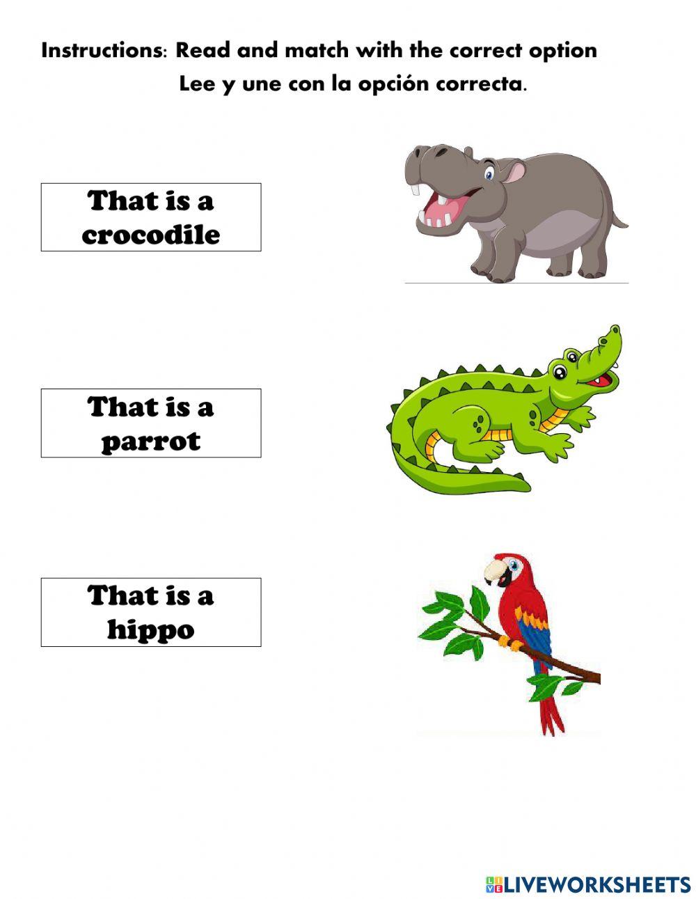 3596346 | Unit 3 - Wild Animals test | mariasol1392