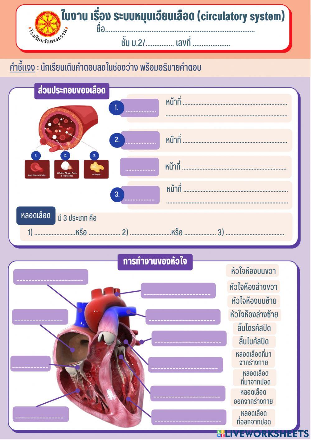 2065568 | ระบบหมุนเวียนเลือด | Prapatson Chaloeywaret