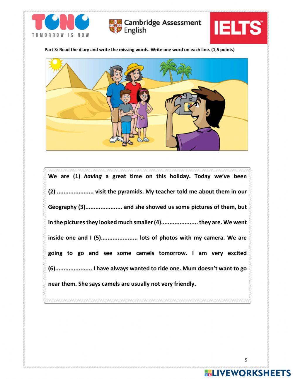 Placement test-Flyer worksheet | Live Worksheets